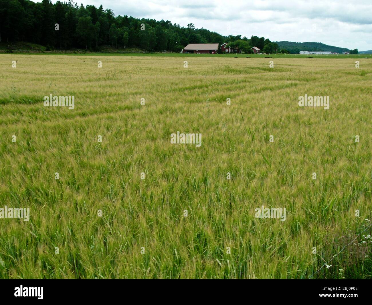 Field barns hi-res stock photography and images - Alamy