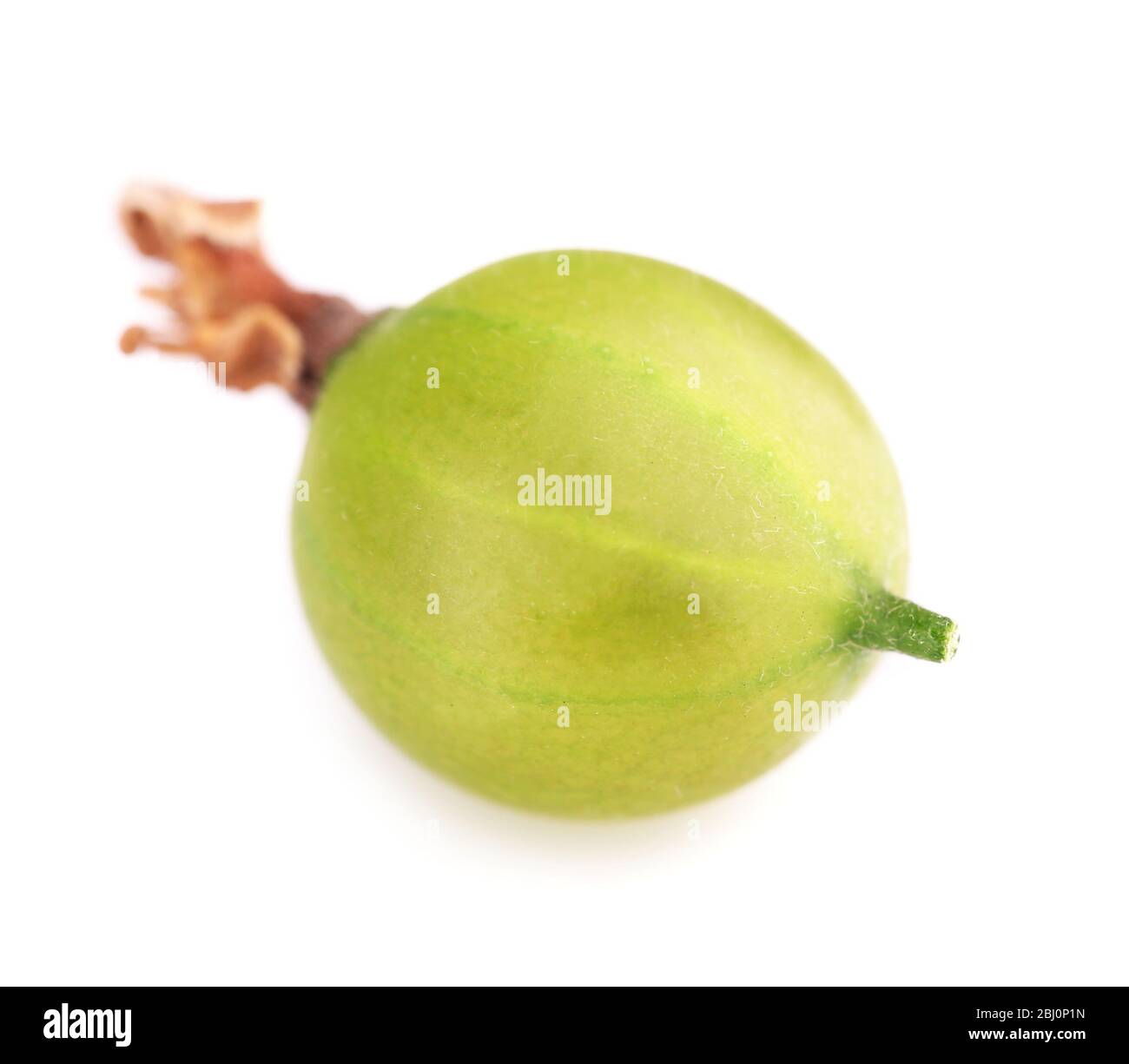 Gooseberry plant detail Cut Out Stock Images & Pictures - Alamy