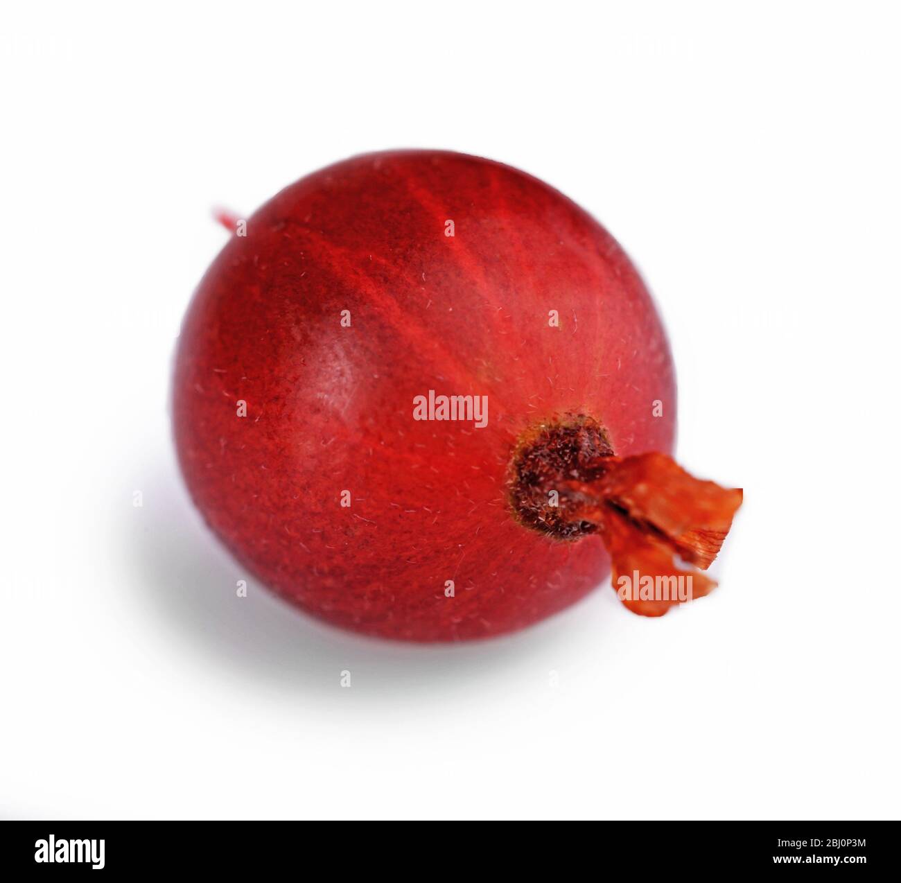 Fresh gooseberry isolated on white Stock Photo - Alamy