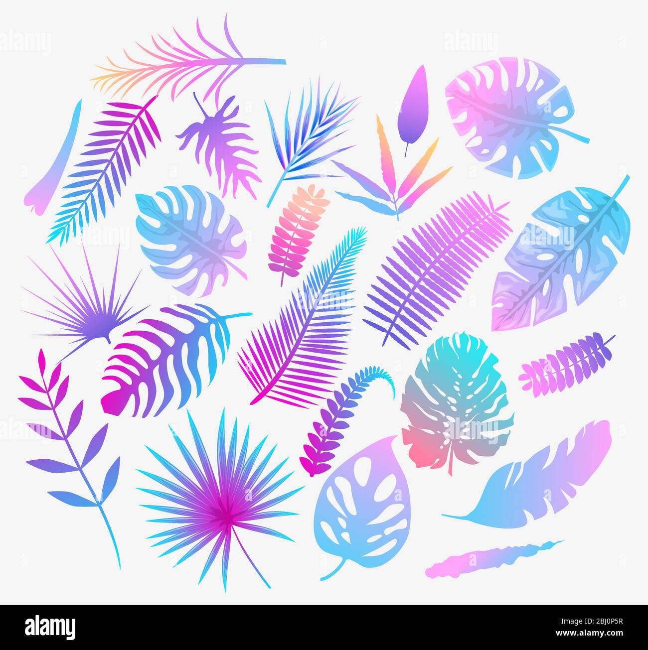 Set of vector illustration of tropical fern leaves in color Stock ...