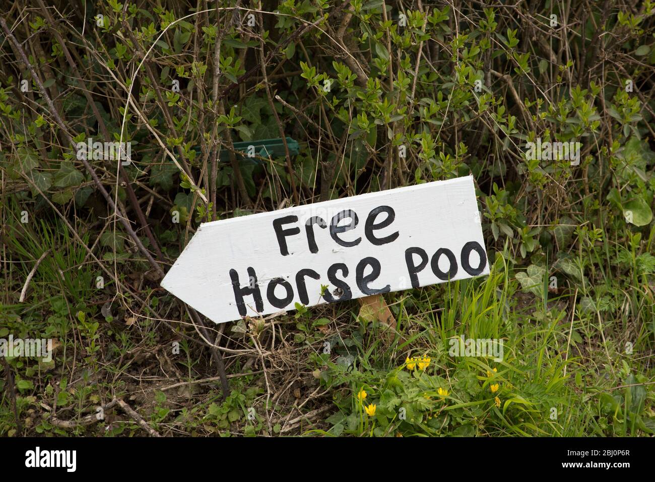 Horse droppings hi-res stock photography and images - Alamy