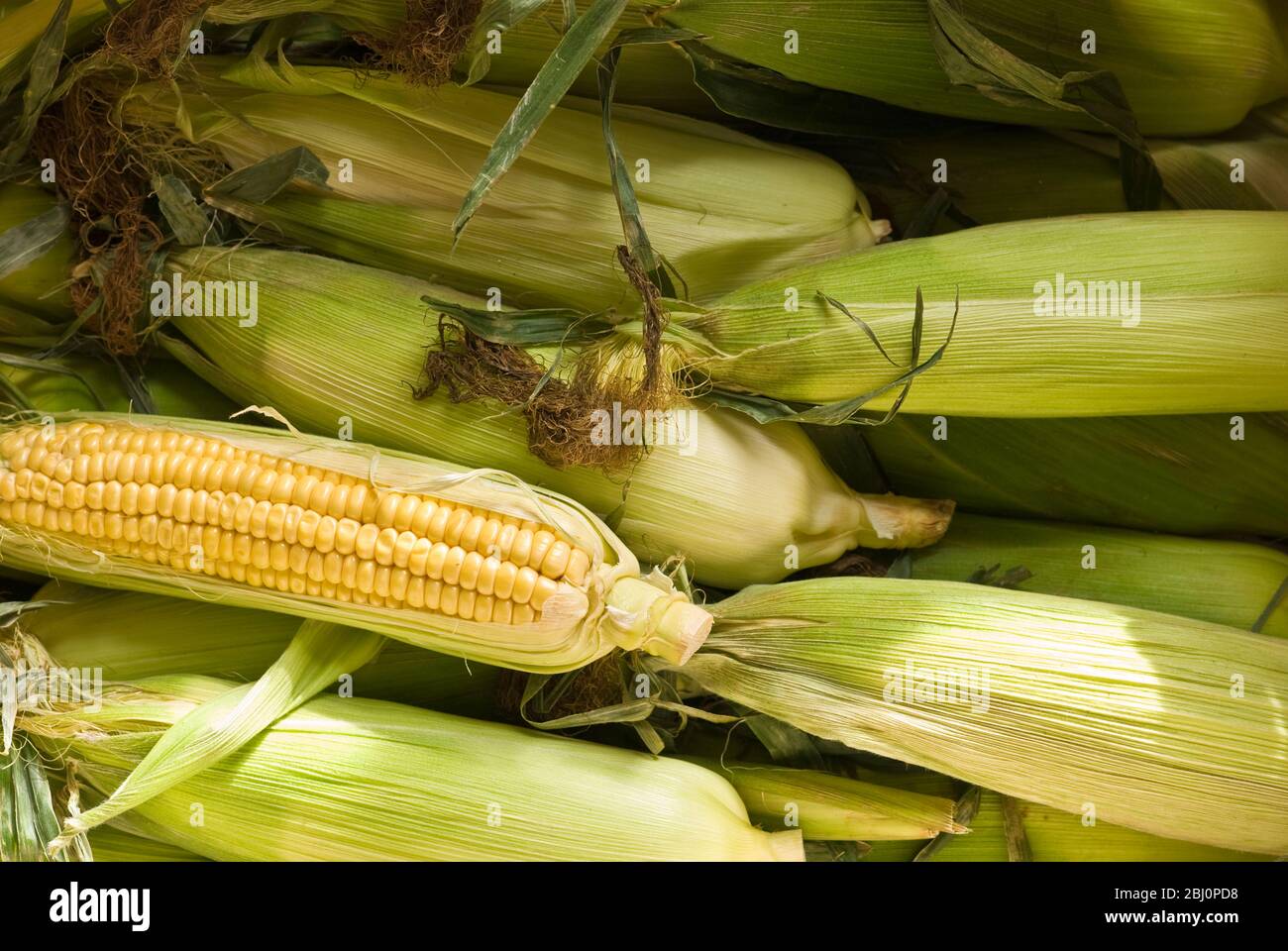 Husks are green hi-res stock photography and images - Alamy