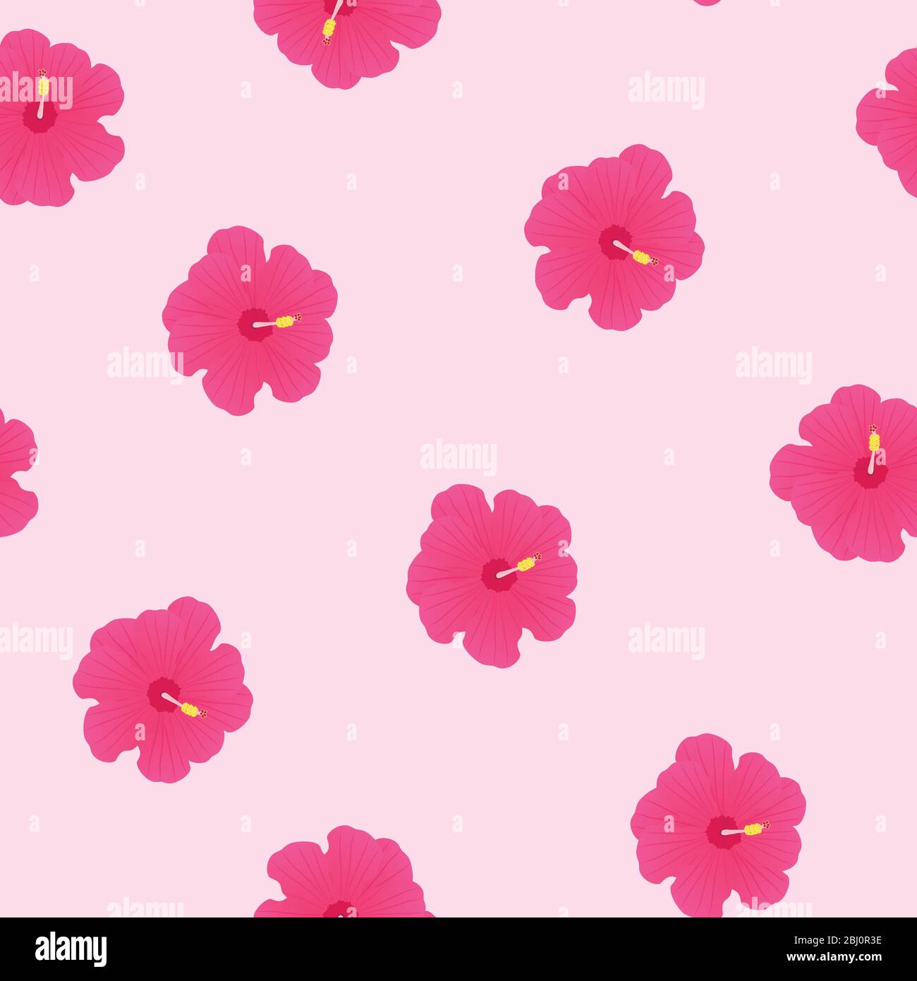 Hibiscus Stock Vector Images - Alamy