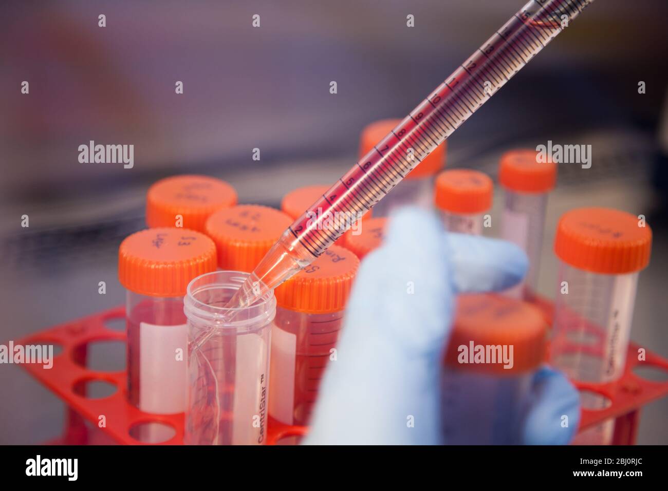 Medical testing in laboratory Stock Photo - Alamy