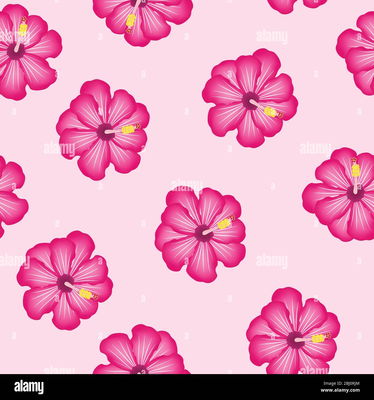 Pink hibiscus seamless pattern Stock Vector Image & Art - Alamy