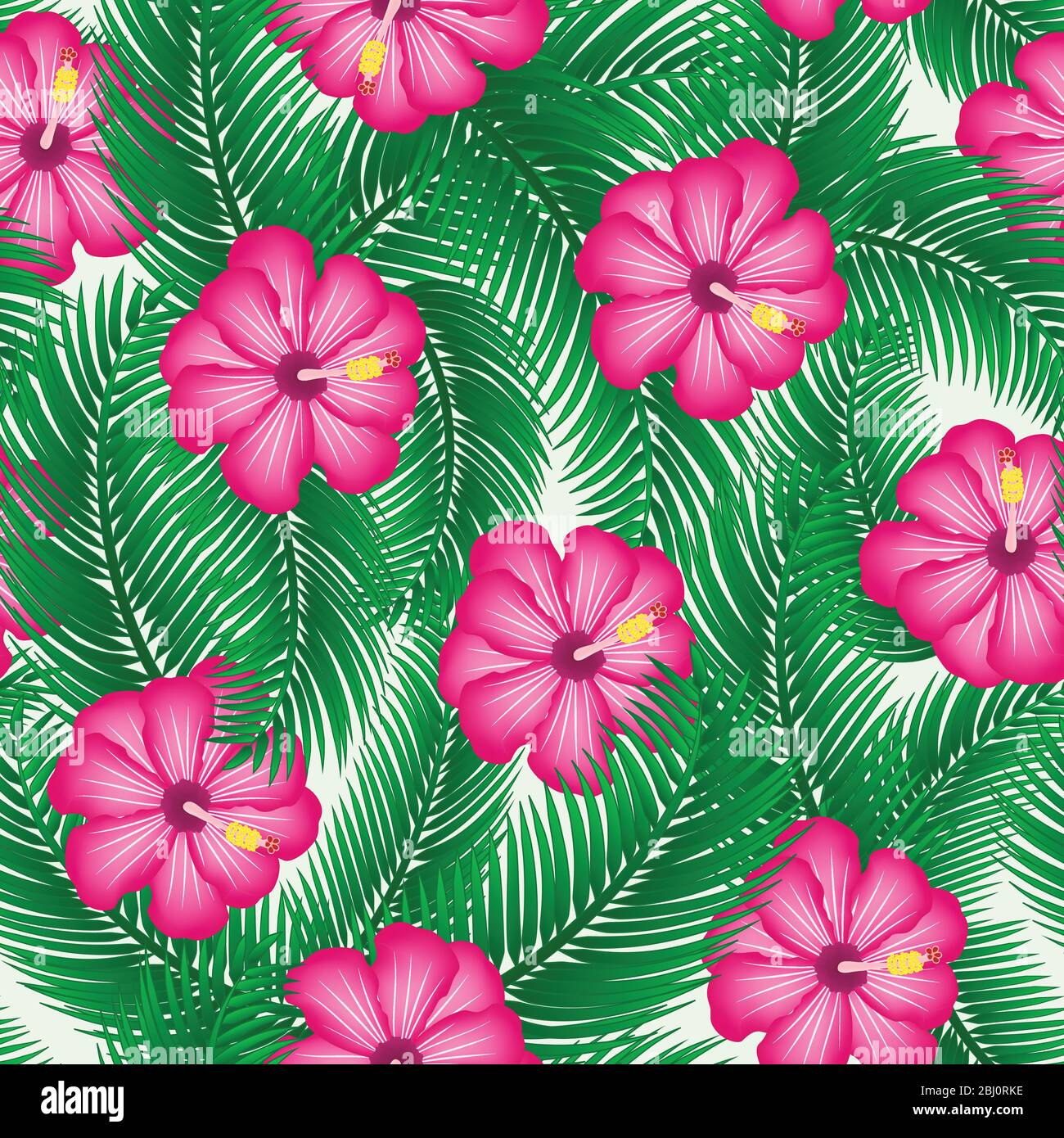 Pink hibiscus Stock Vector Images - Alamy