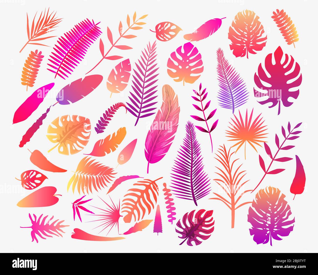 Fern in jungle Cut Out Stock Images & Pictures - Alamy