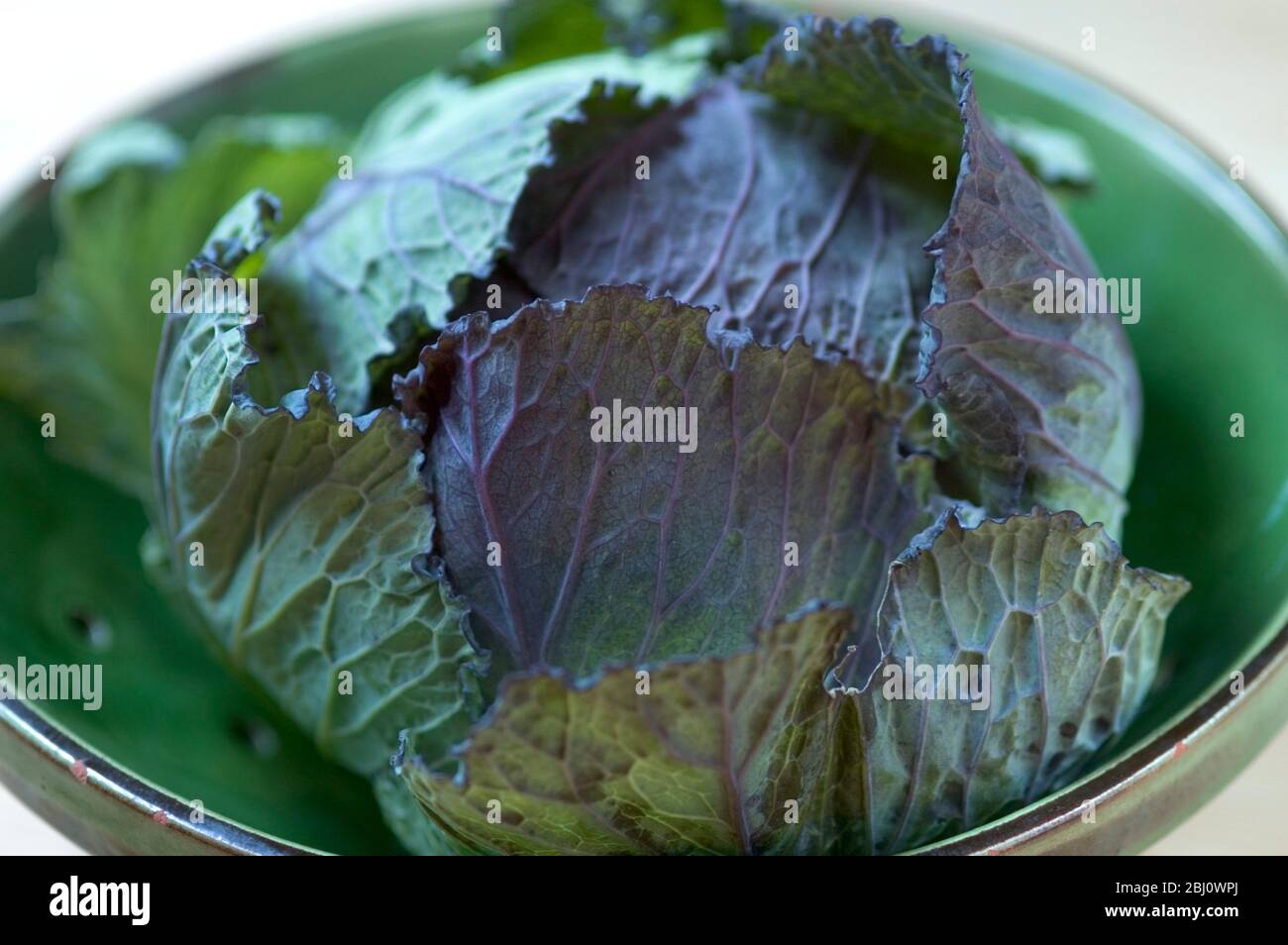 Purple cabbage hi-res stock photography and images - Alamy