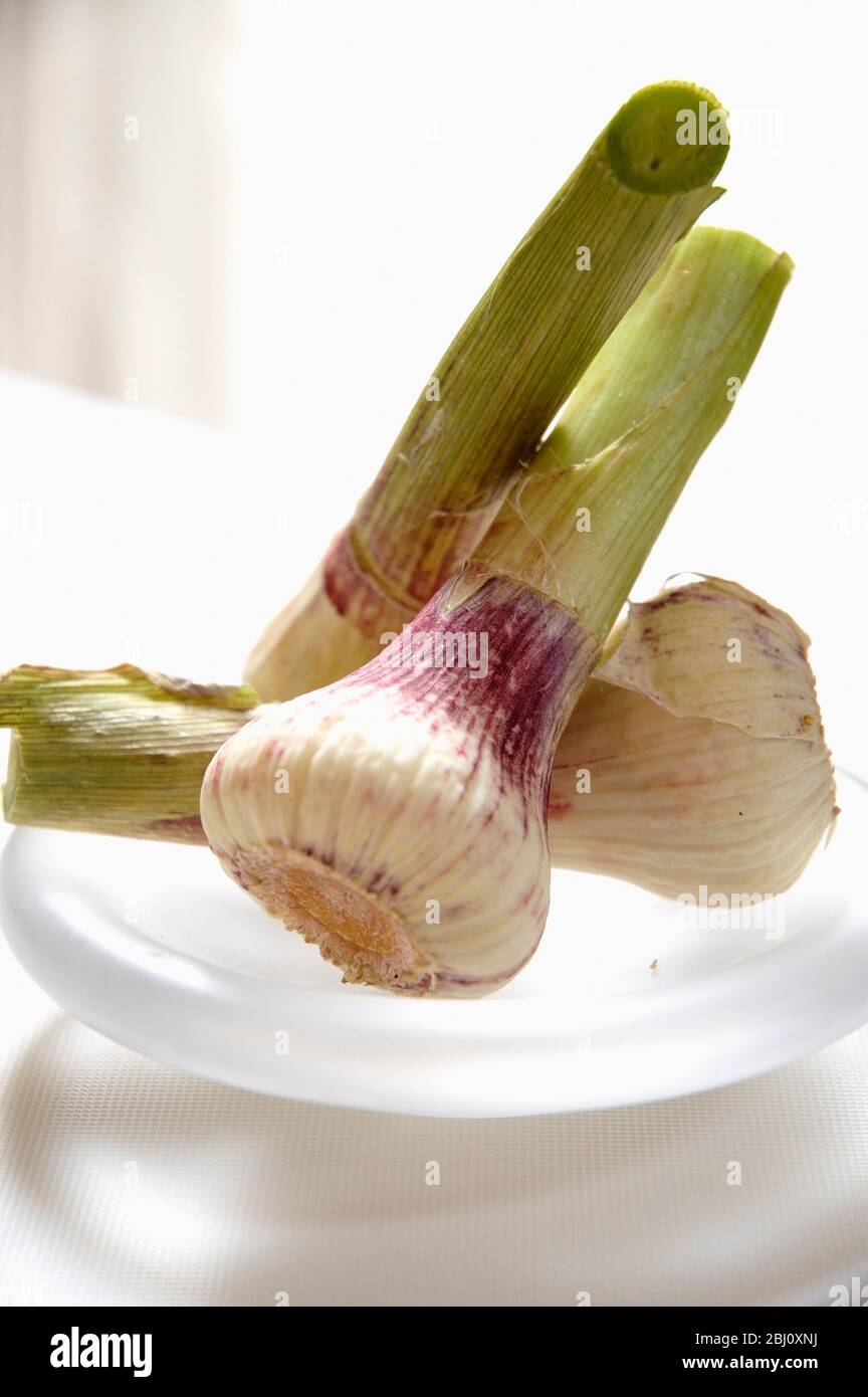 Small layers hi-res stock photography and images - Alamy