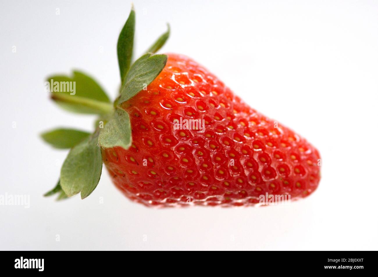 Single perfect red strawberry against white background Stock Photo - Alamy