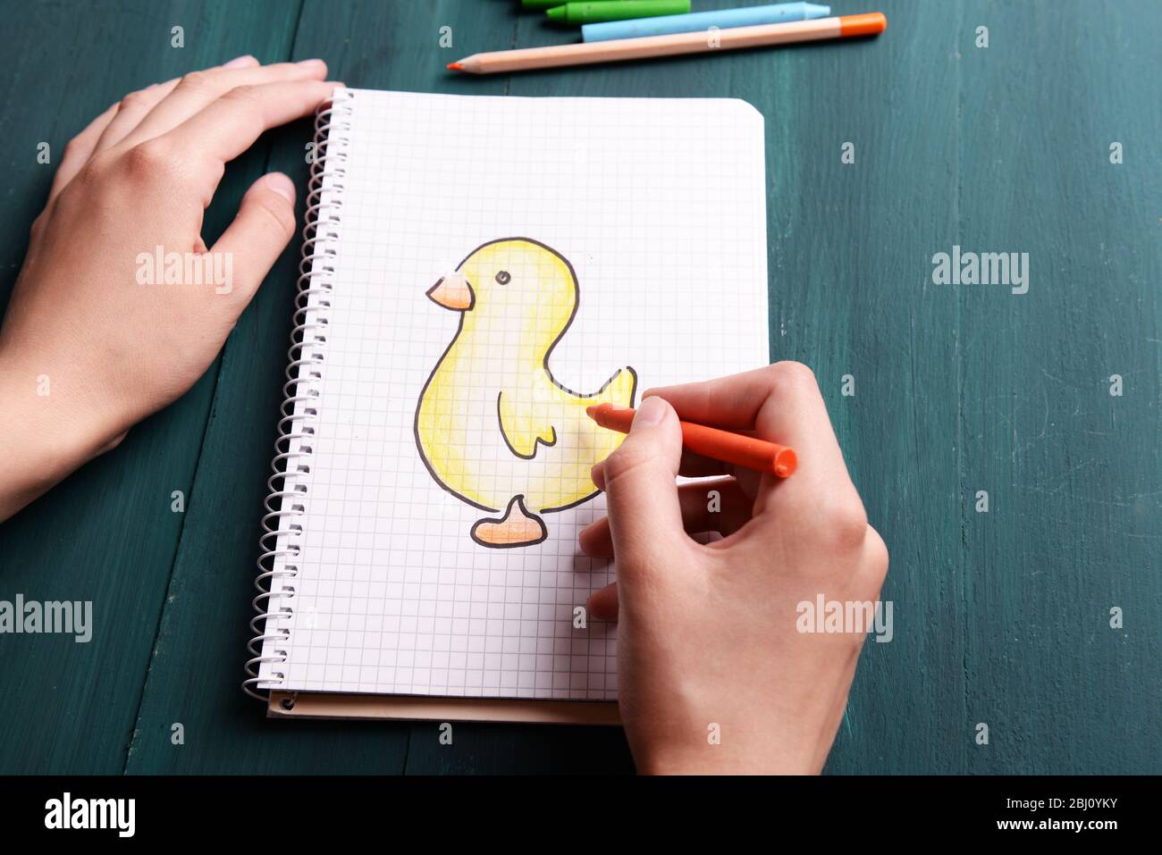 Female hands drawing duck in notebook on wooden table background Stock ...
