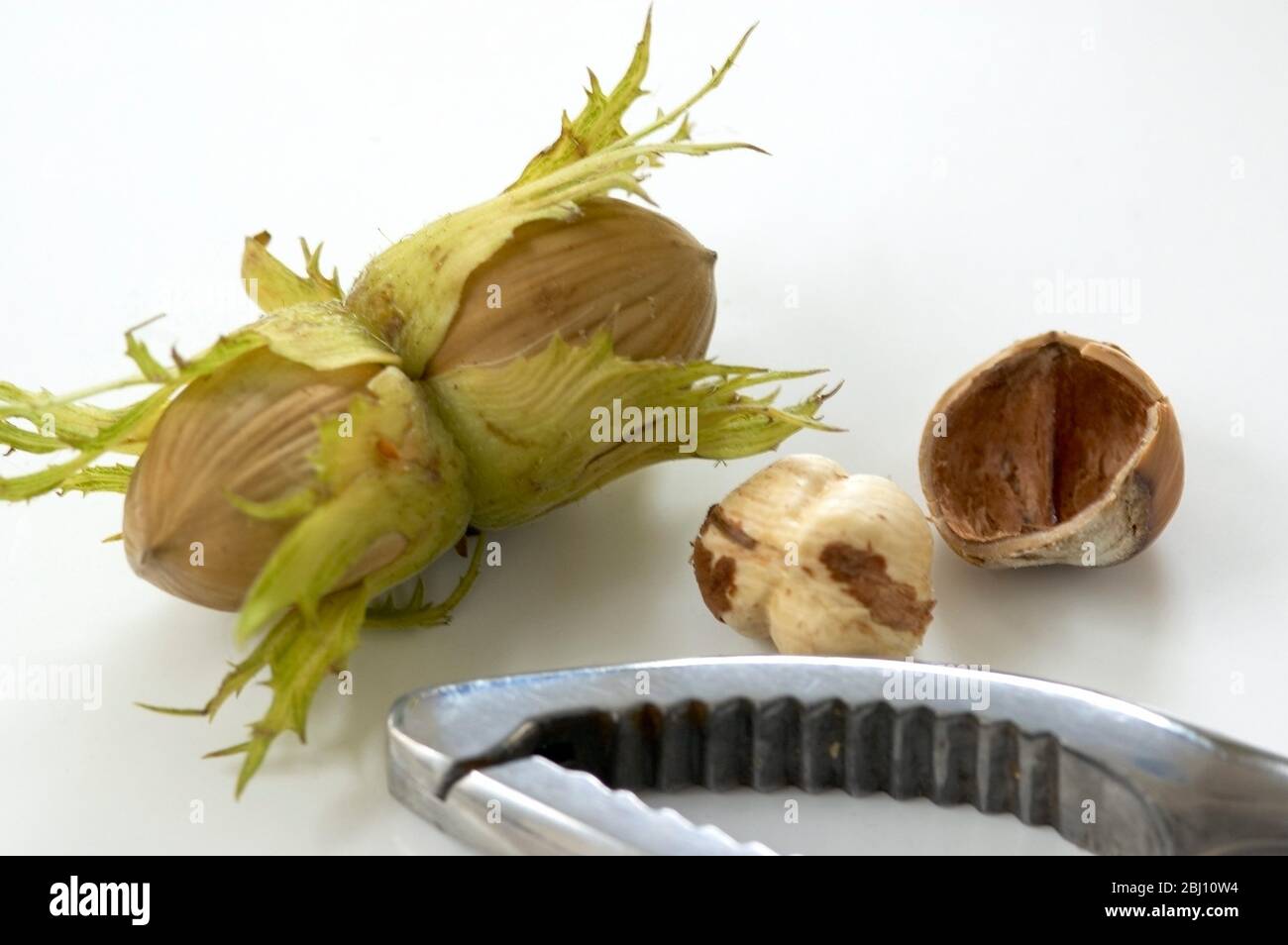 Kent cobnuts hi-res stock photography and images - Alamy