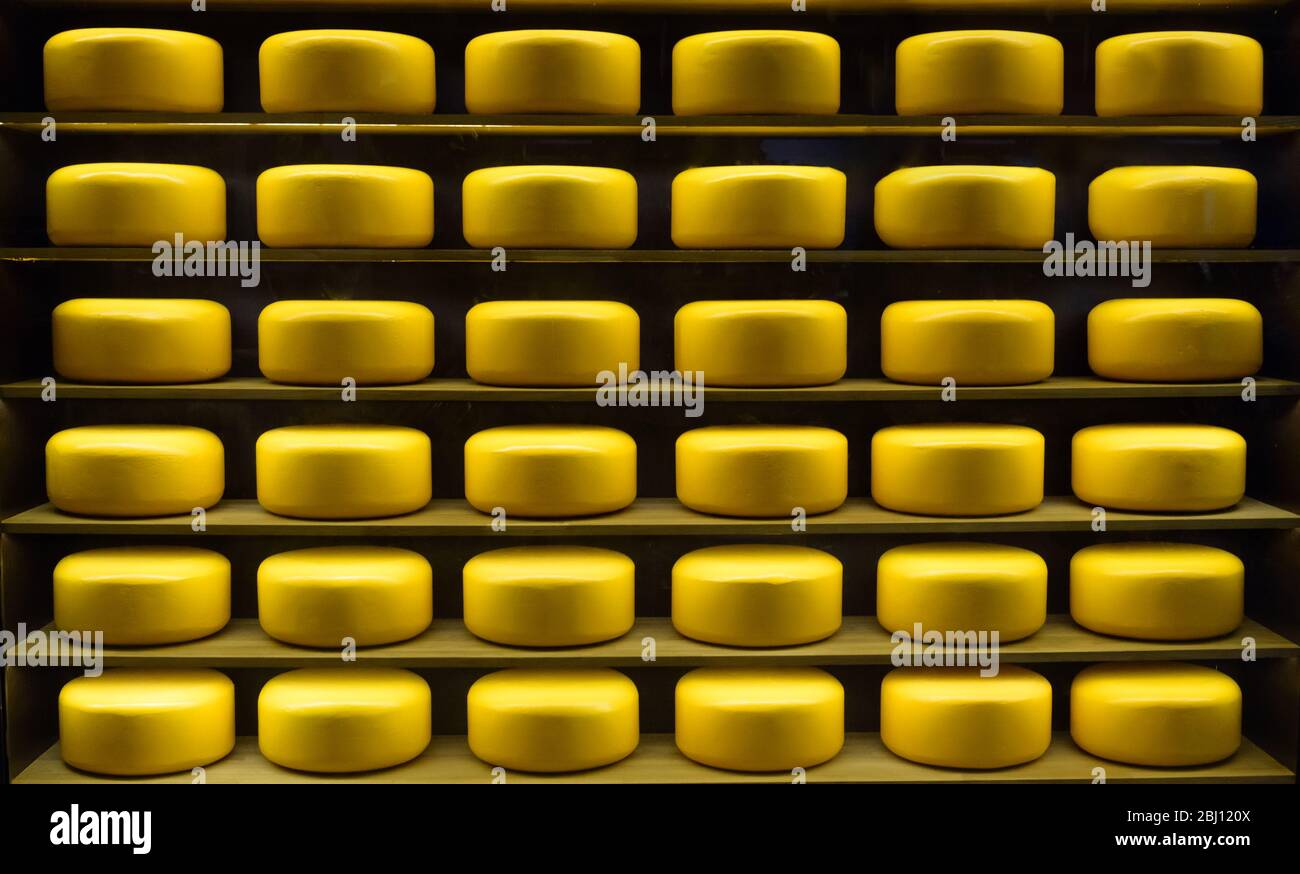 Fresh cheese on a shelf in a store Stock Photo - Alamy