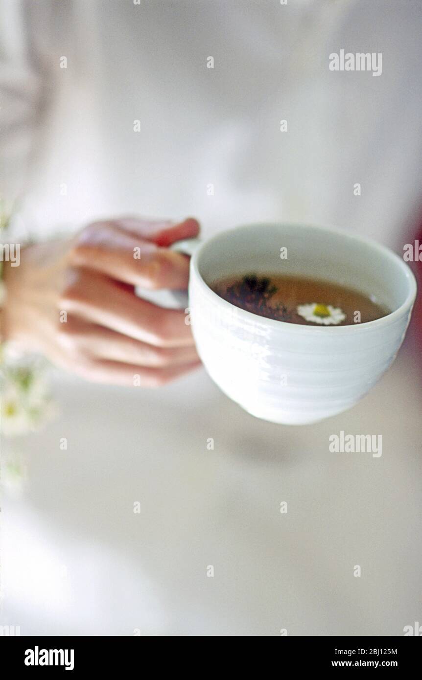 Chamomile tea hi-res stock photography and images - Alamy