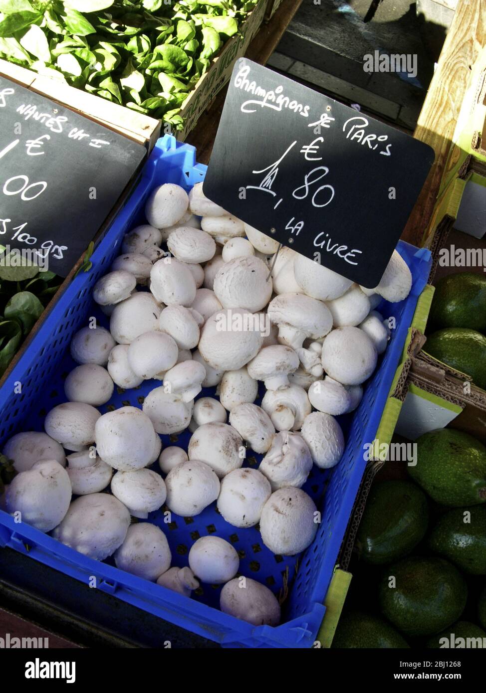 Paris mushrooms hi-res stock photography and images - Alamy
