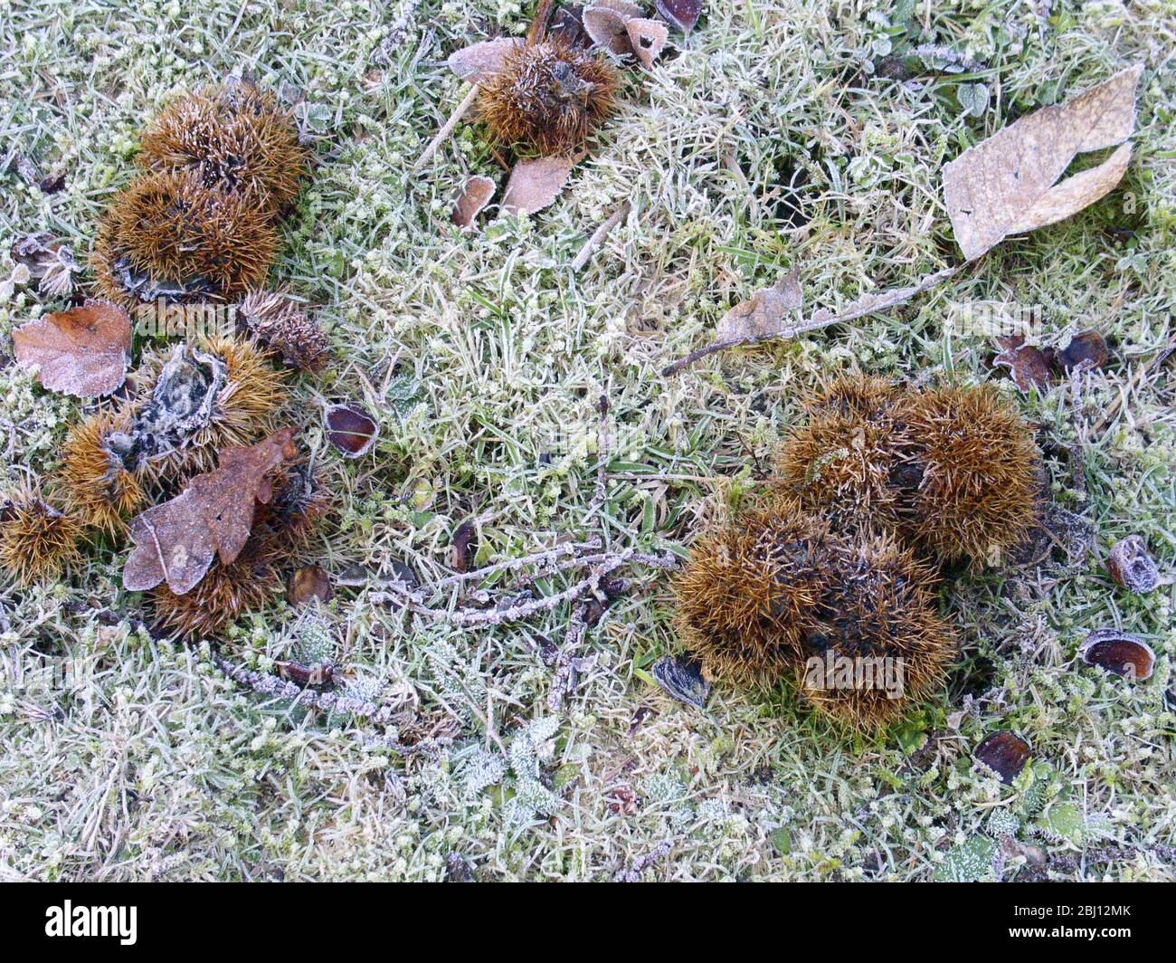 Frozen into ground hi-res stock photography and images - Alamy