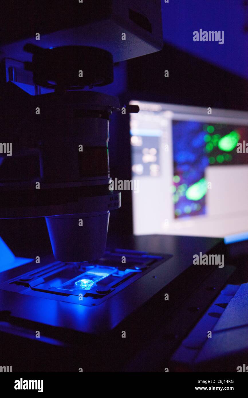 High powered microscope used for medical testing Stock Photo - Alamy
