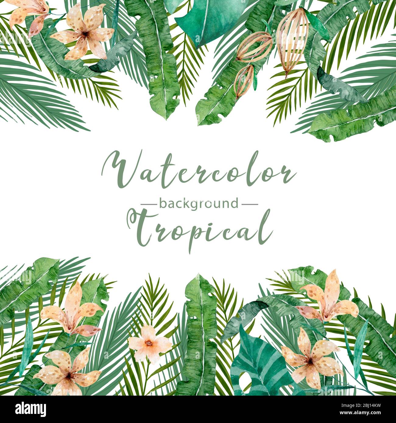 Hand drawn watercolor tropical banner with jungle leaves. Exotic leaves ...