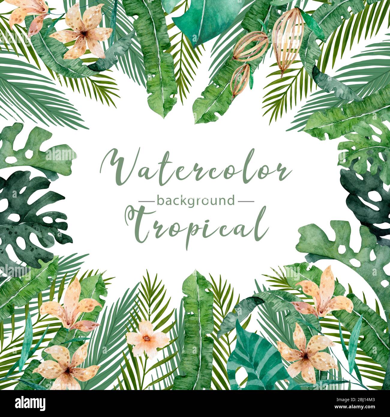 Hand drawn watercolor tropical banner with jungle leaves. Exotic leaves ...