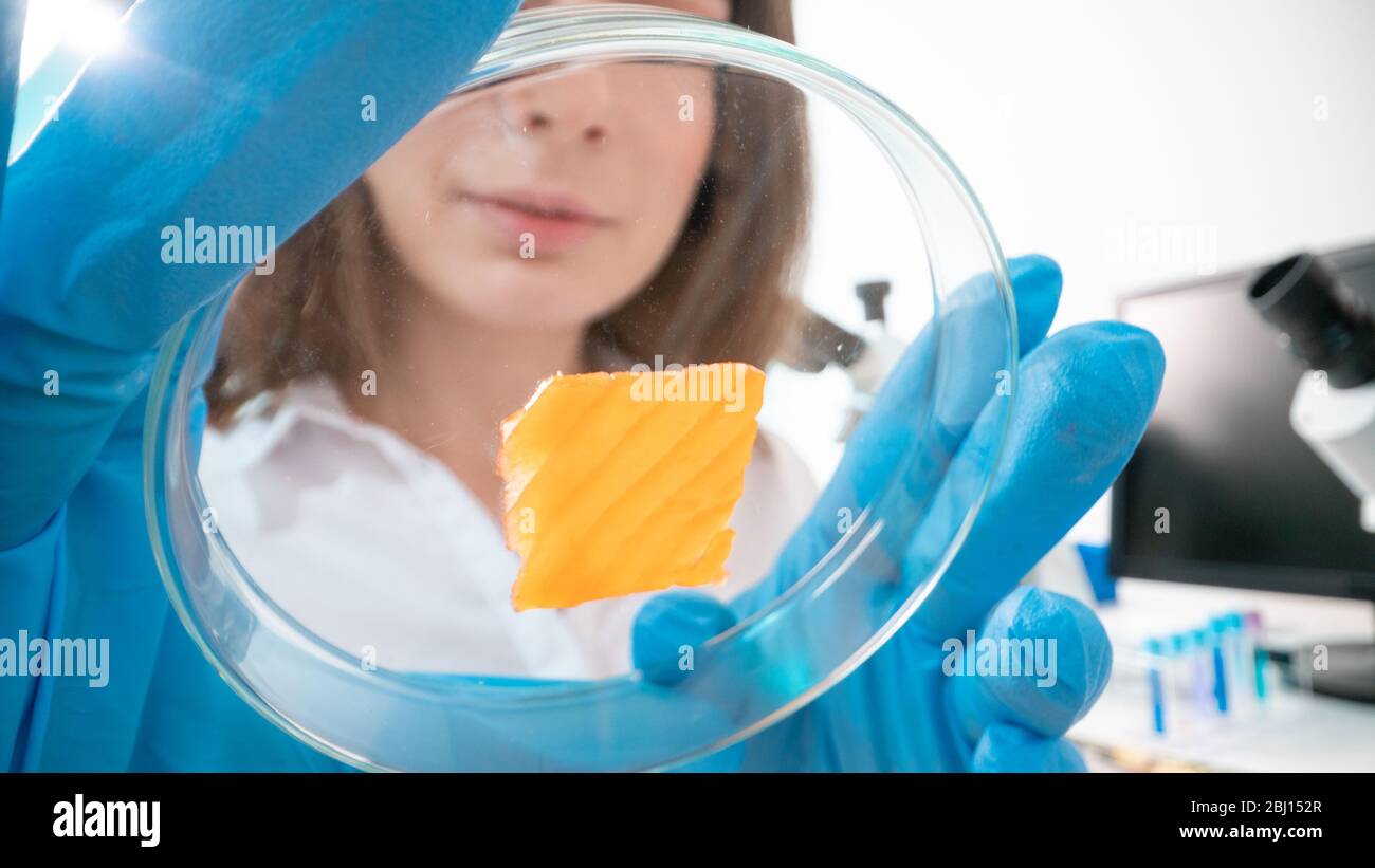 Inspection of meat and fish quality in the food quality laboratory ...