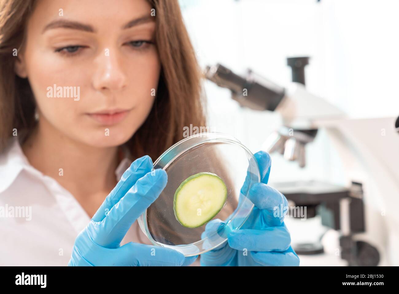 Inspection of the quality of vegetables and fruits in the laboratory of ...