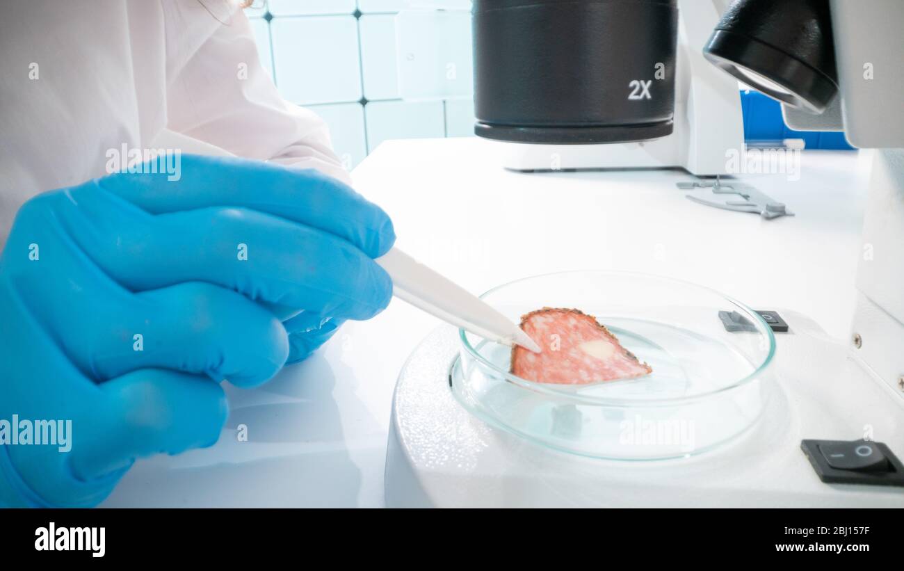 Inspection of meat and fish quality in the food quality laboratory ...
