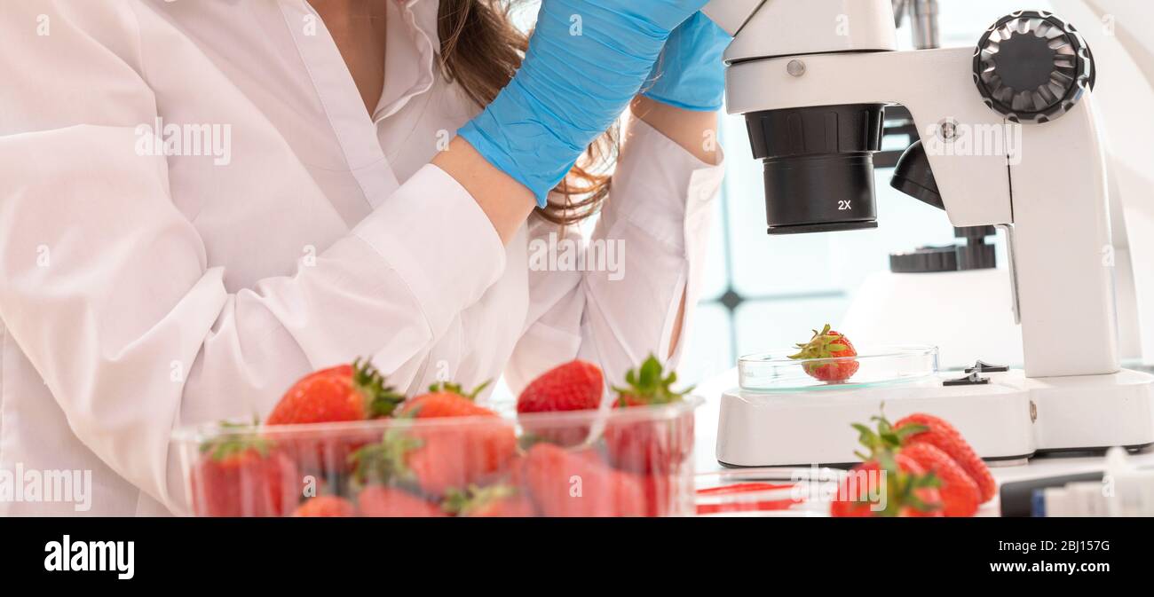 Quality inspection of agricultural food products. Checking the content ...