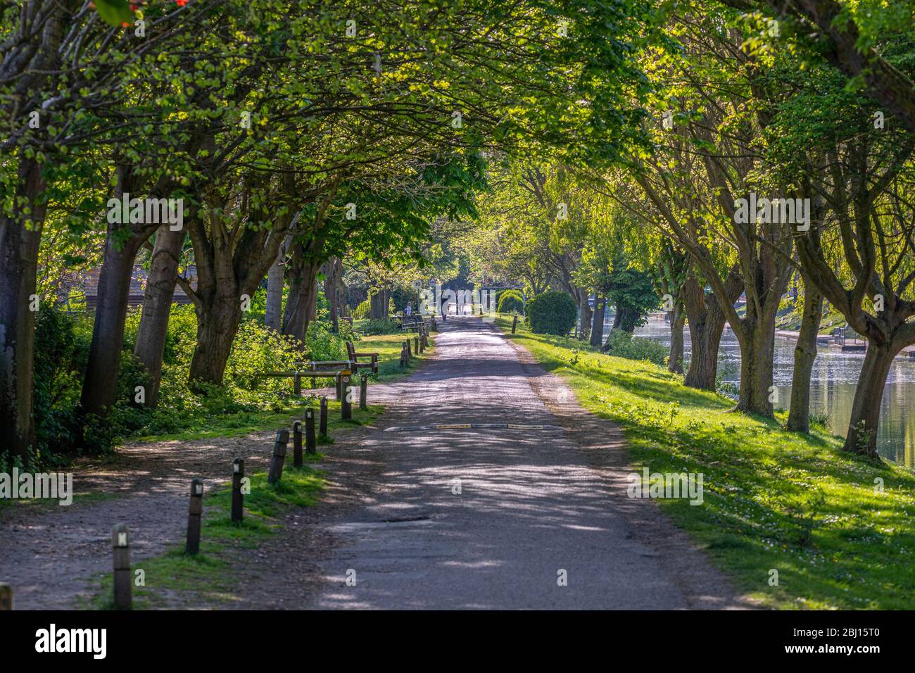 Canal Side Trees High Resolution Stock Photography and Images - Alamy