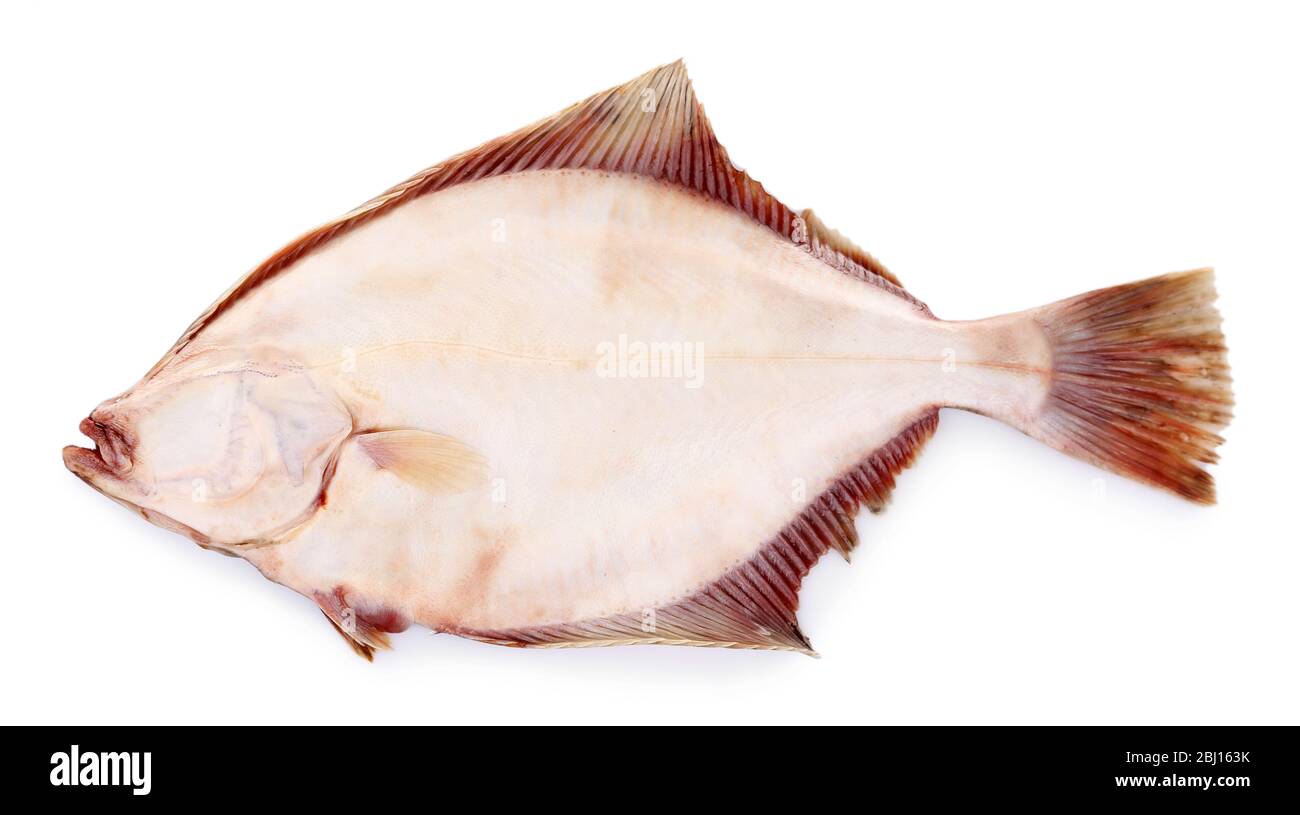 Fresh fish isolated on white Stock Photo - Alamy