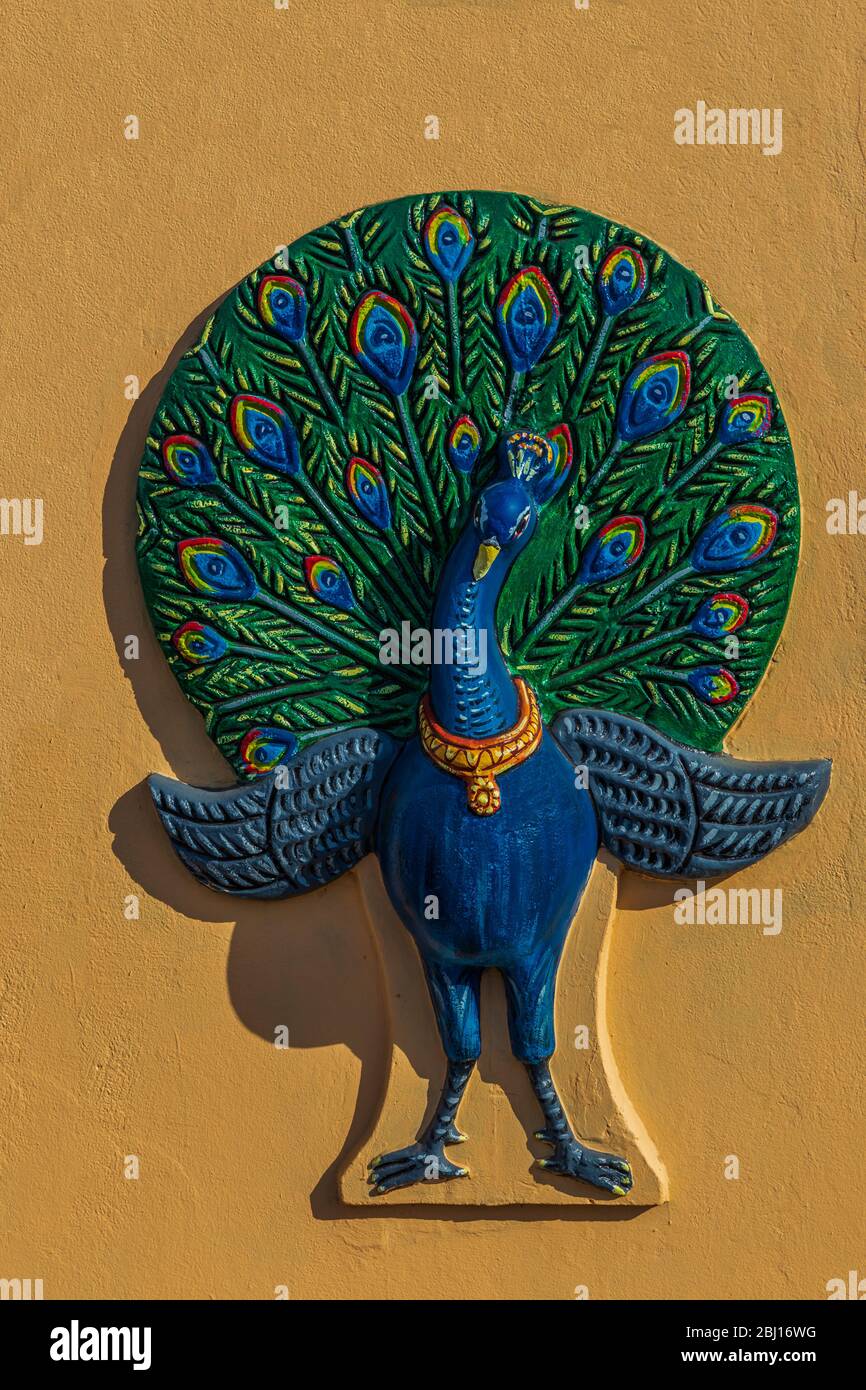 Indian peacock art hi-res stock photography and images - Alamy