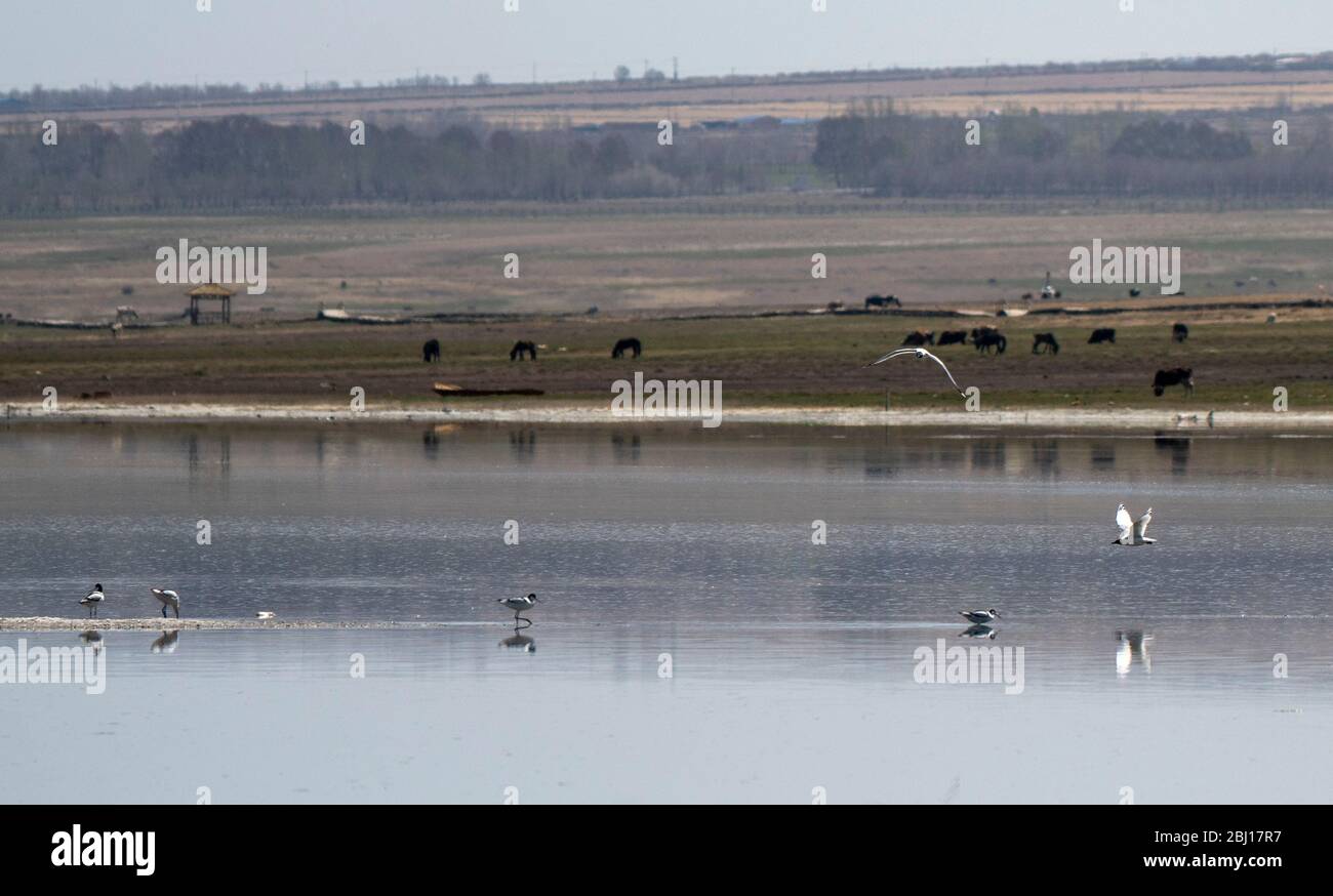 Barkol lake hi-res stock photography and images - Alamy