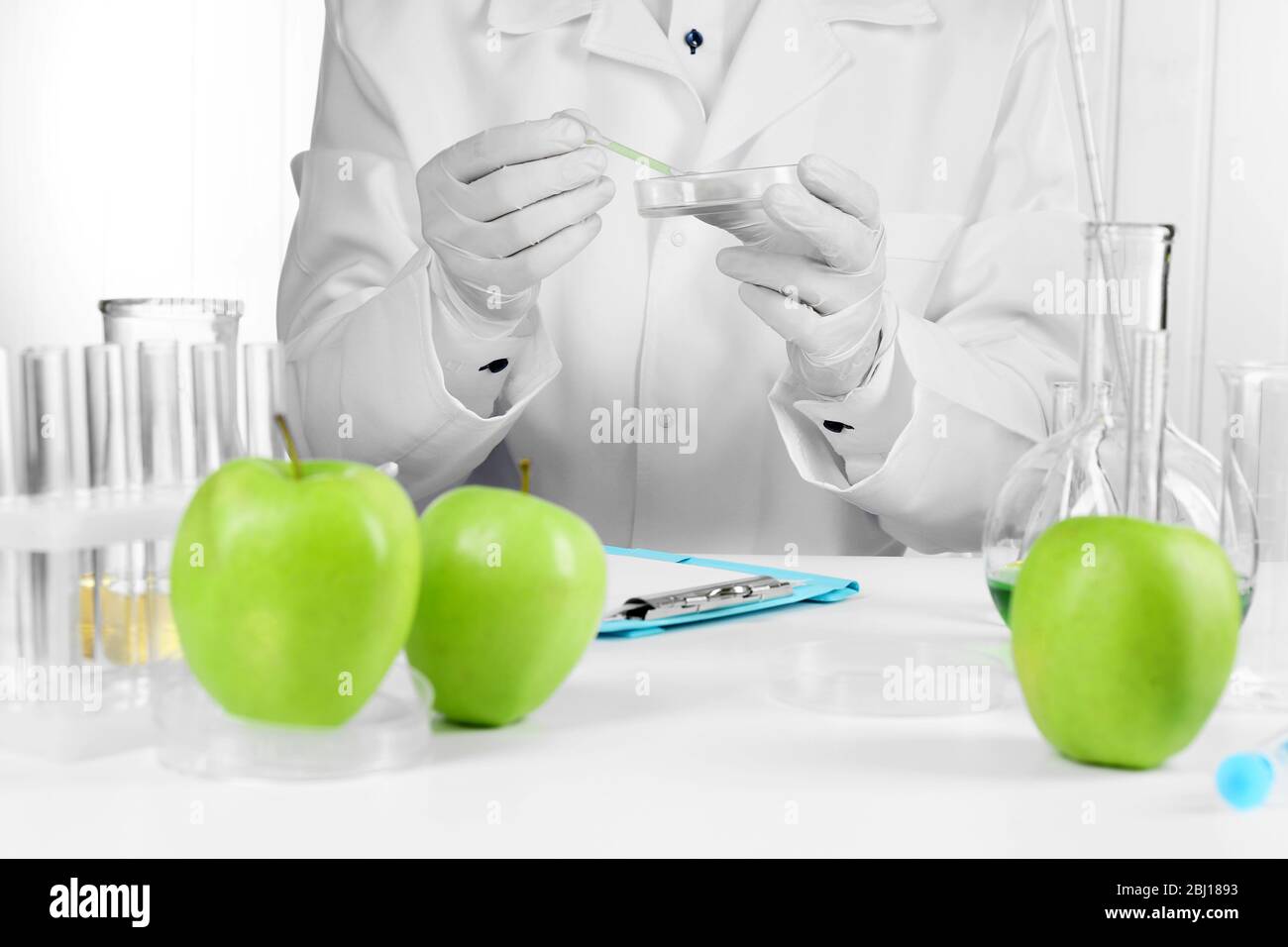 Scientist examines apples in laboratory Stock Photo - Alamy