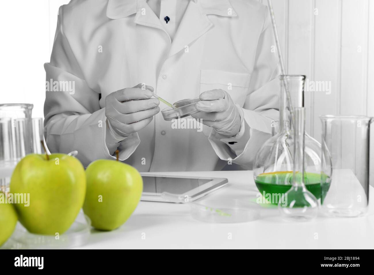 Scientist examines apples in laboratory Stock Photo - Alamy