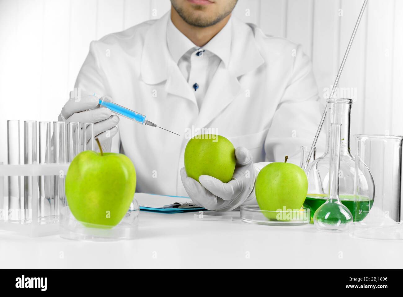 Scientist examines apples in laboratory hi-res stock photography and ...