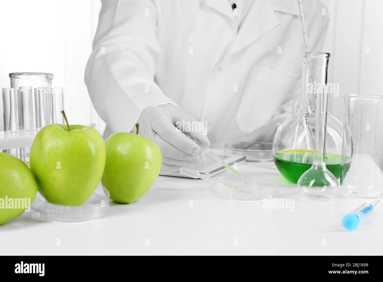 Scientist examines apples in laboratory Stock Photo - Alamy