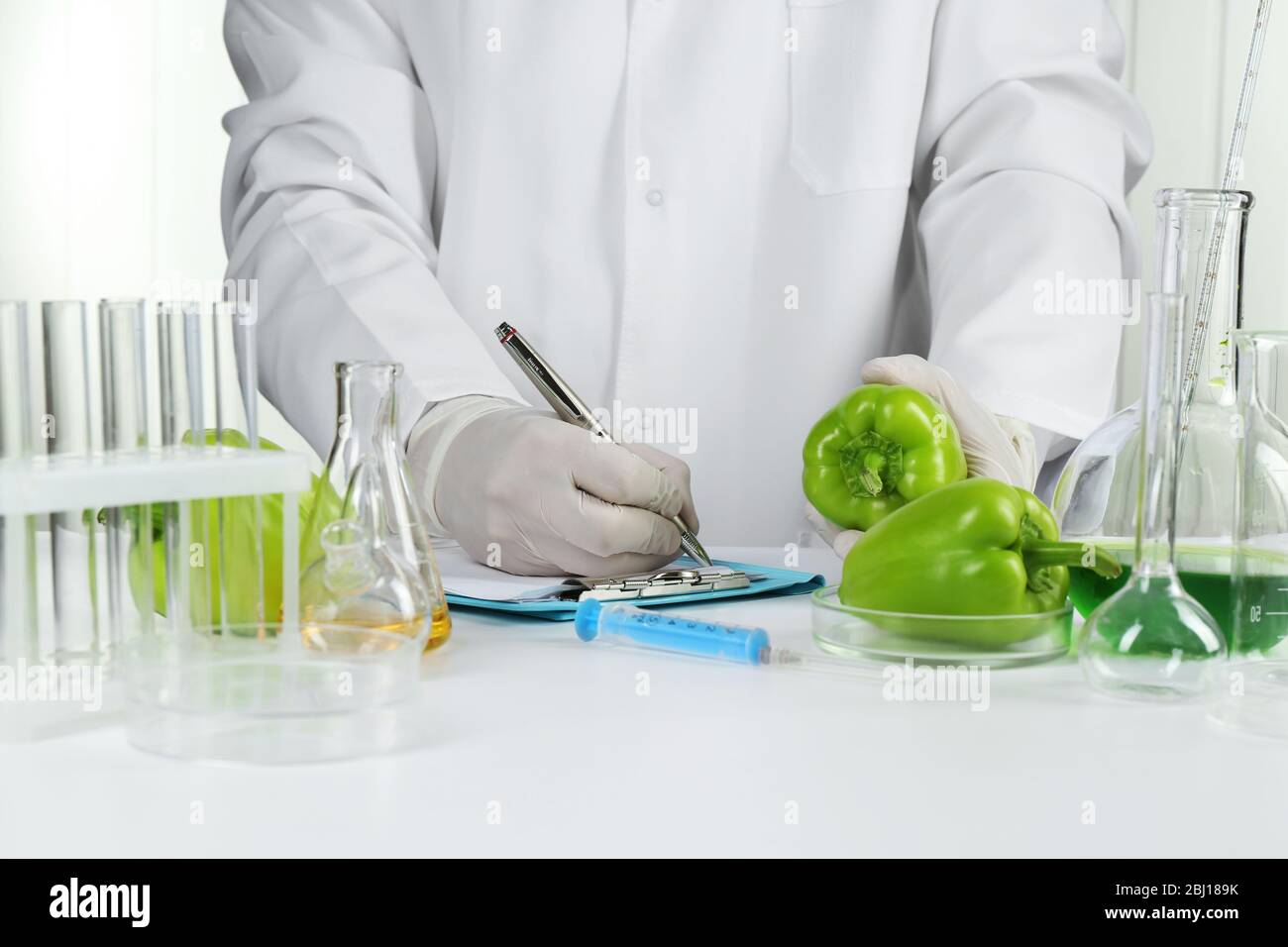 Vegetable test pepper genetic modification hi-res stock photography and ...
