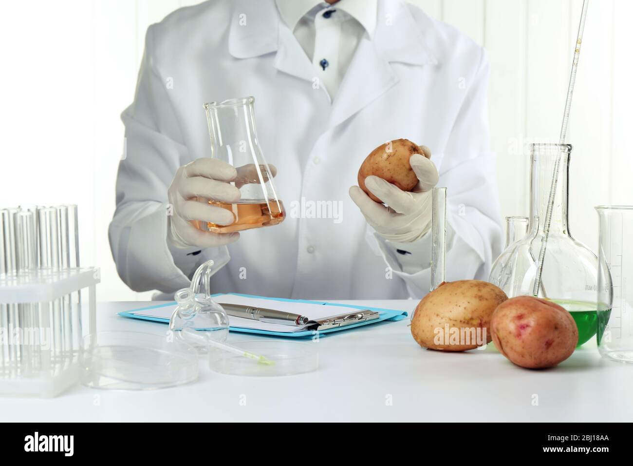 Scientist examines potatoes in laboratory Stock Photo - Alamy