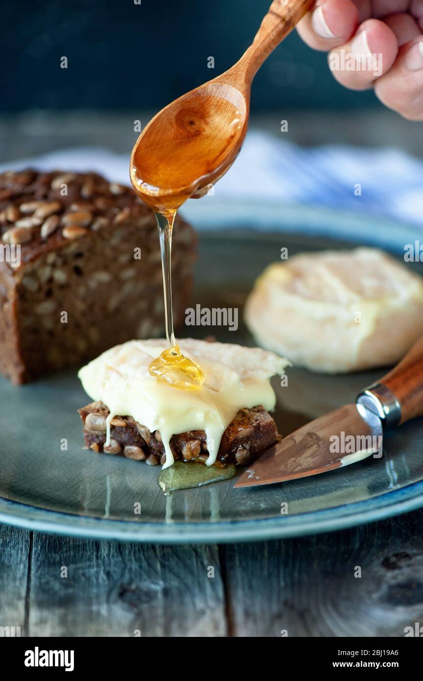 Bread Mold High Resolution Stock Photography and Images - Alamy