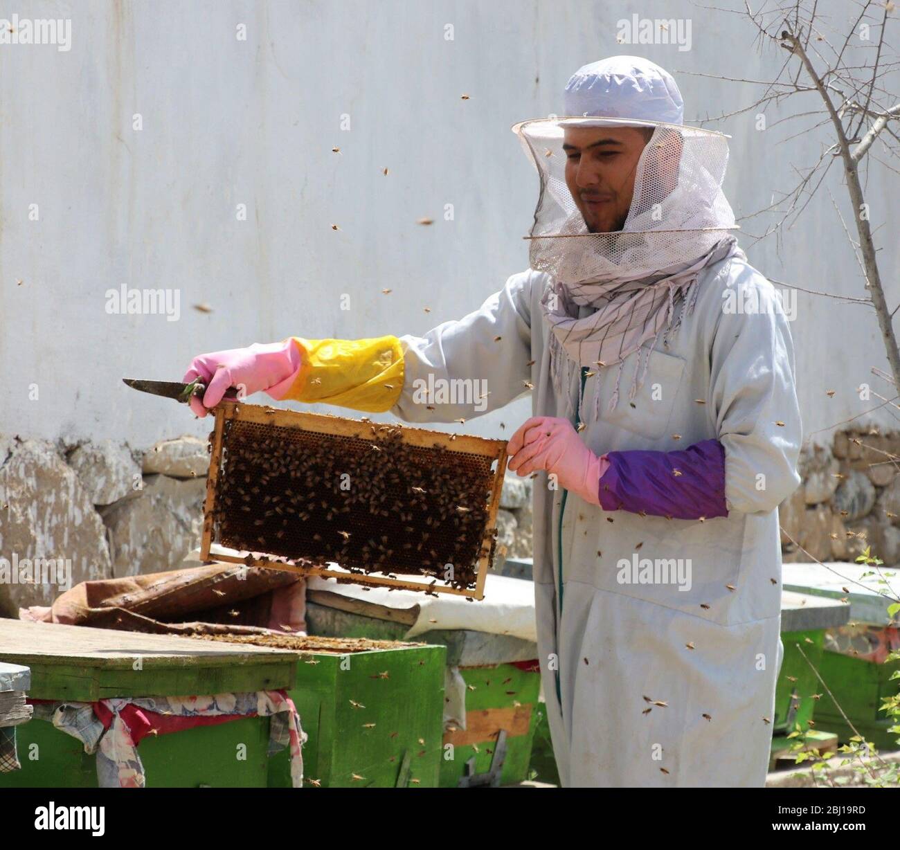 (200428) -- PUL-E-KHUMRI, April 28, 2020 (Xinhua) -- A bee farmer takes ...