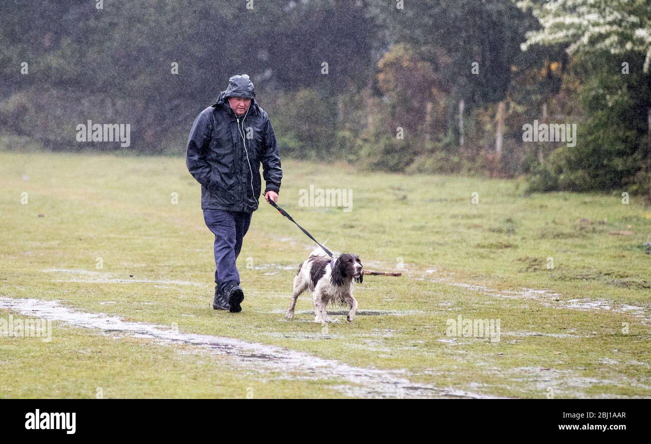 Walking The Dog In The Rain High Resolution Stock Photography and ...