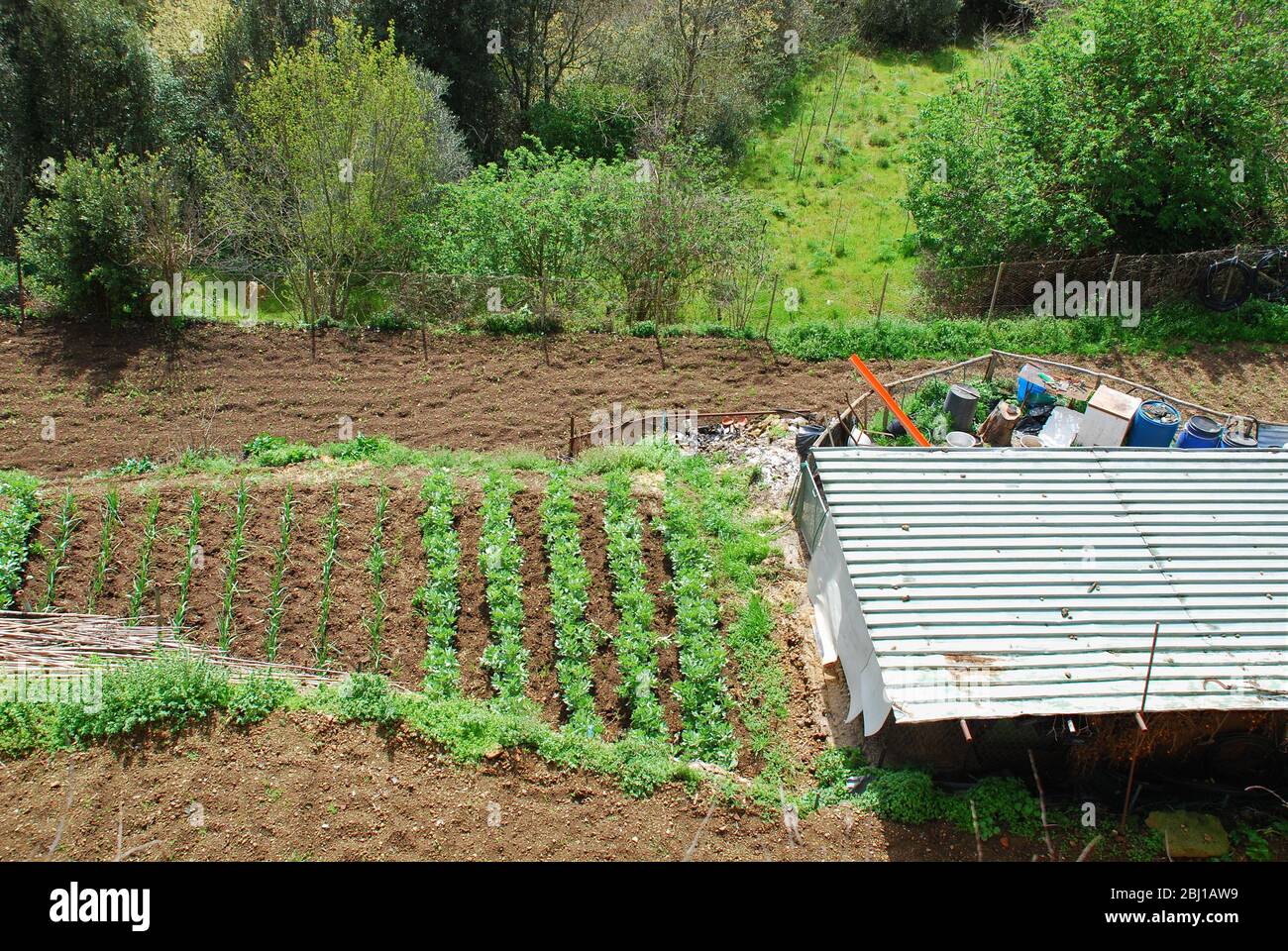 Vegetable plot aerial hi-res stock photography and images - Alamy