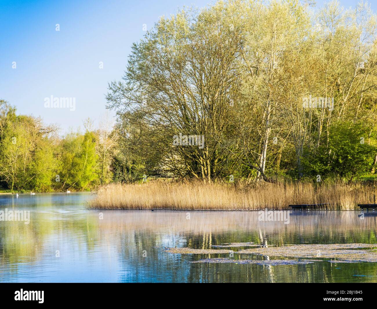 Coate spring hi-res stock photography and images - Alamy
