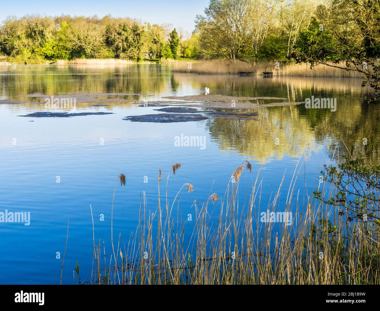 Coate water park swindon landscape hi-res stock photography and images ...