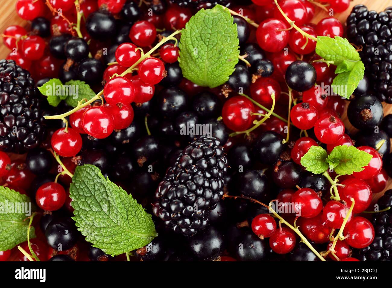 Forest berries background Stock Photo - Alamy