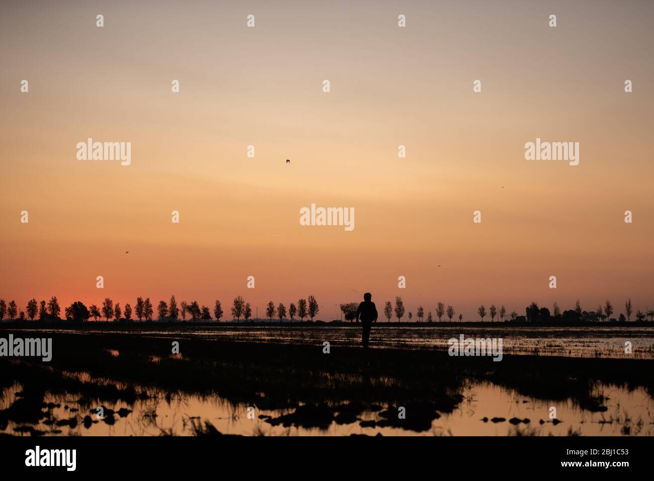 Delta de ebre hi-res stock photography and images - Alamy