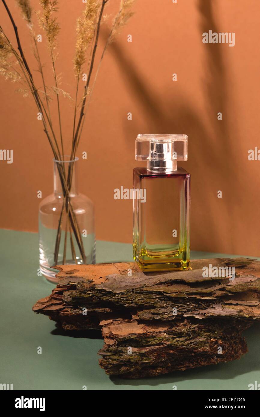 Natural and forest perfume in a bottle next to the bark of a tree Stock ...