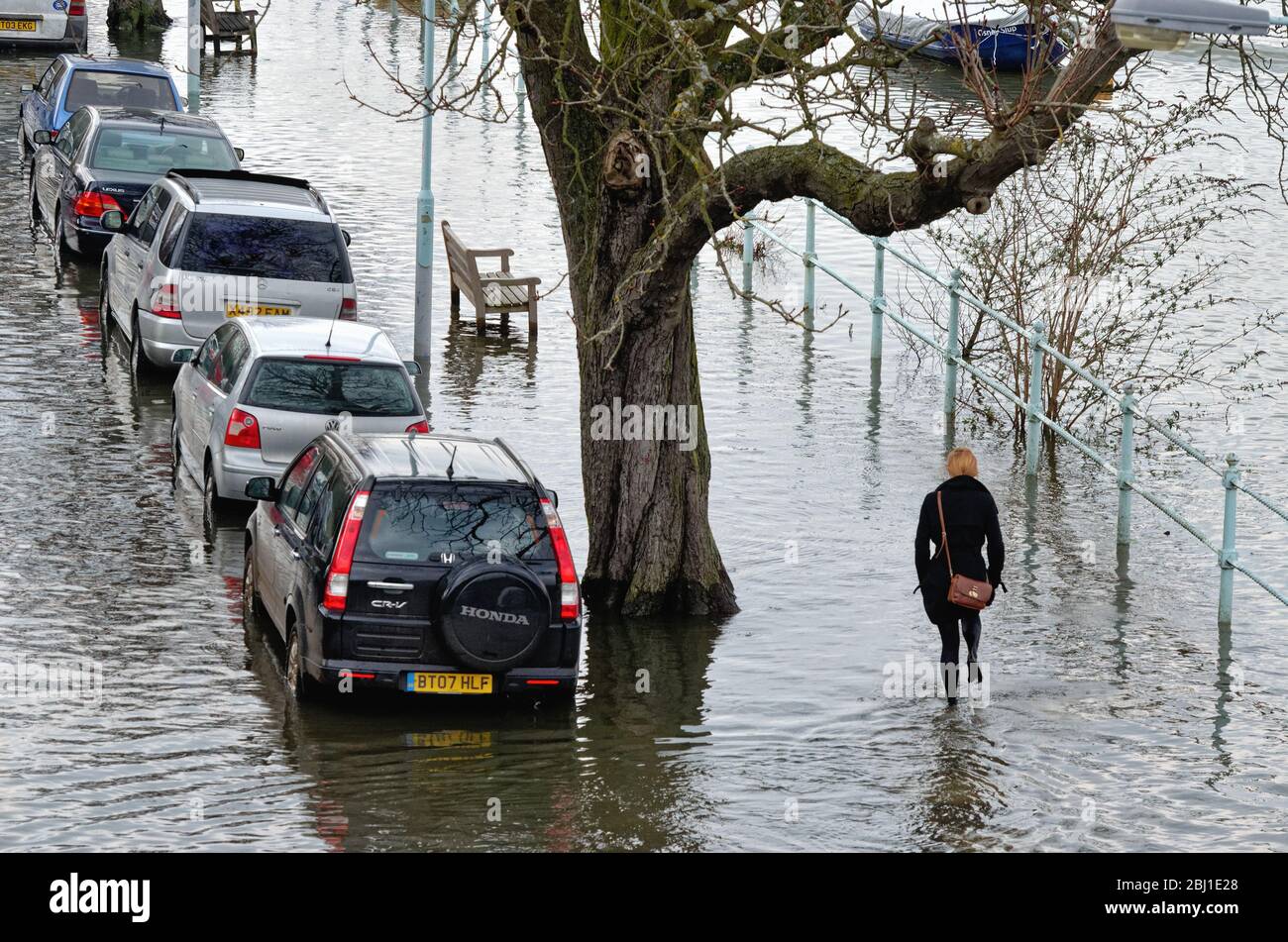 Woman wading in river hi-res stock photography and images - Alamy