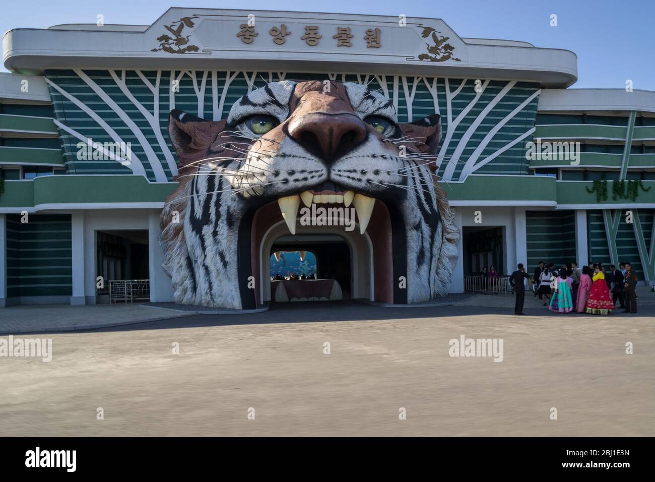 New face of Pyongyang zoo - Tiger's mouth - Korea Central Zoo ...