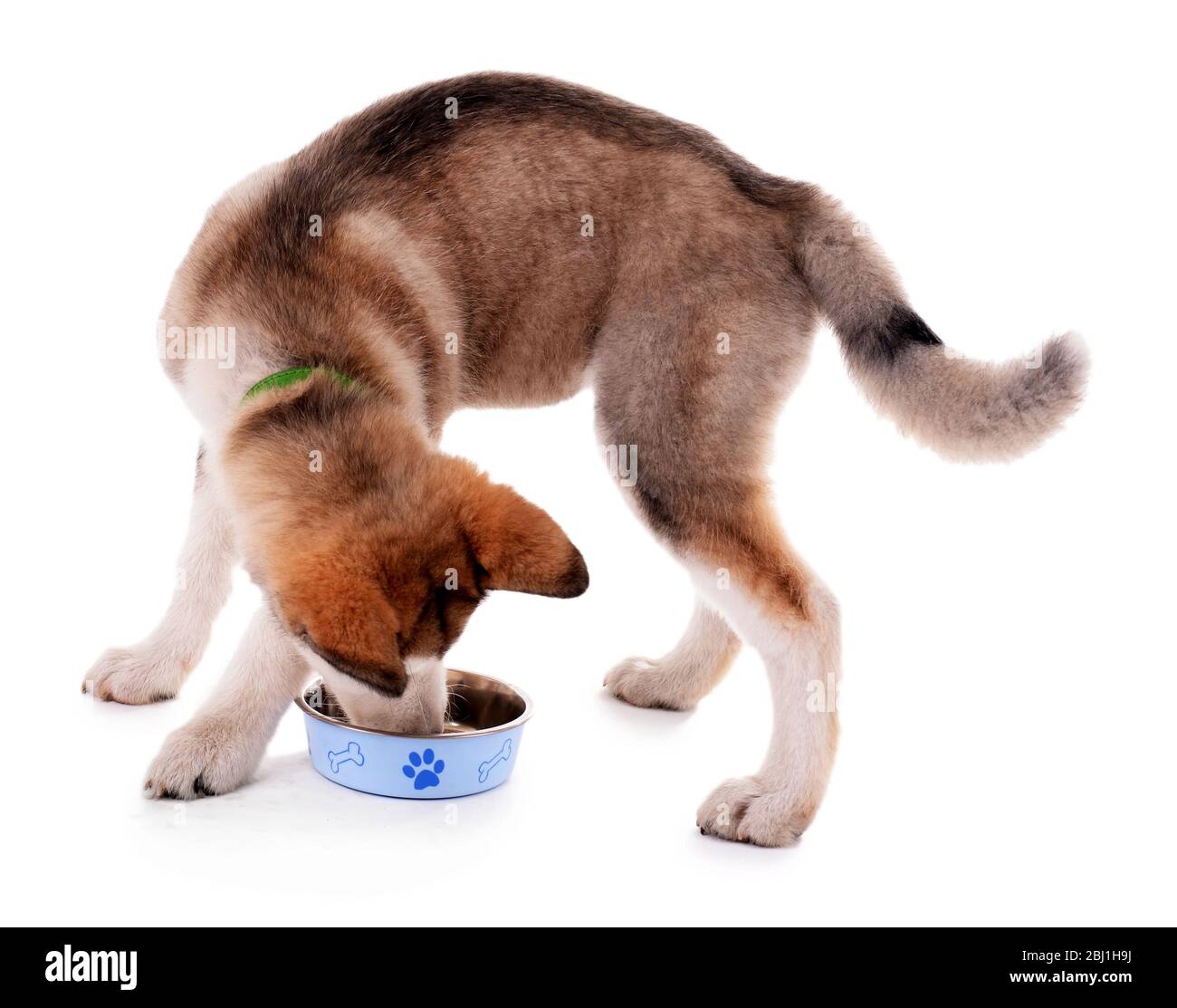 Dog from metal Cut Out Stock Images & Pictures - Alamy