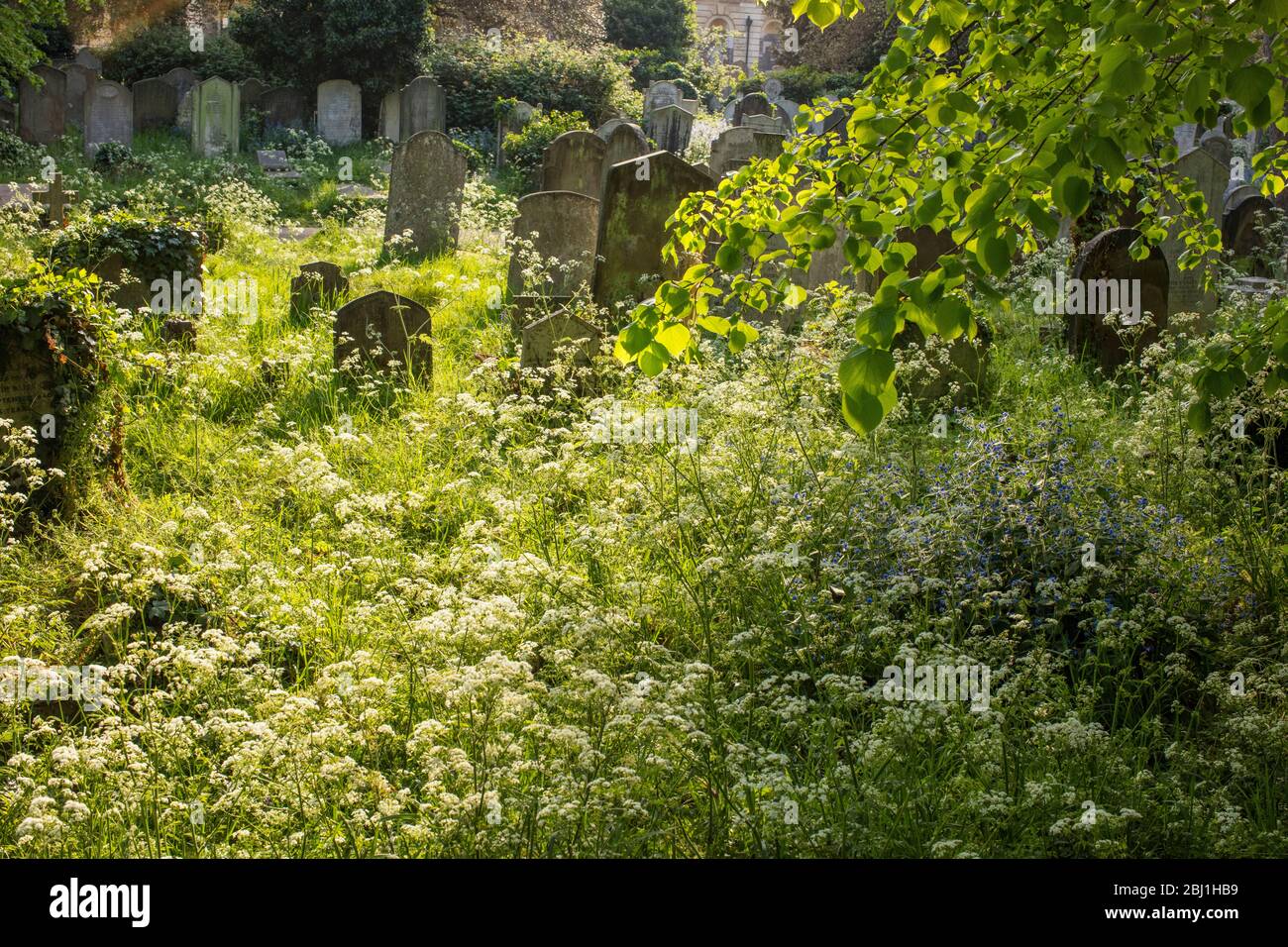 Brompton Cemetery, Kensington, London; one of the 'Magnificent Seven ...